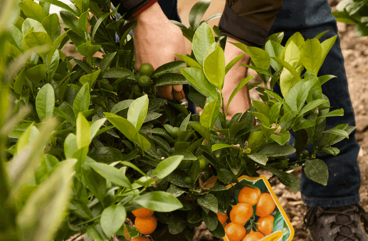 Sustainability | Unity Place